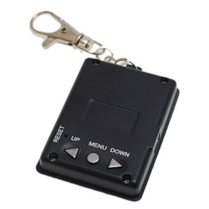 Hi-Rez Digital Photo Frame Key Chain