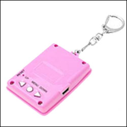 Hi-Rez Digital Photo Frame Key Chain - Pink