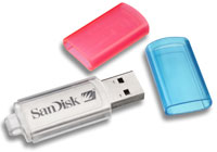 SanDisk Cruzer Micro USB Flash Drive - 2GB