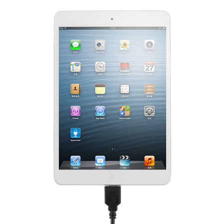 iPhone Lightning Extension Cable - Black