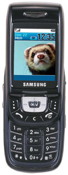 Sim Free Mobile Phone - Samsung D500 (Black)
